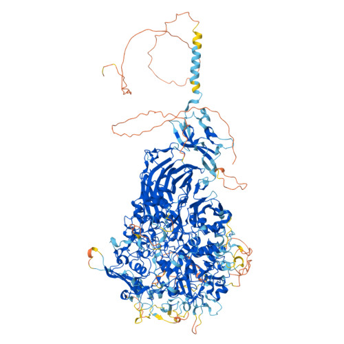 RCSB PDB - AF_AFP11311F1: Computed structure model of Adhesin P1