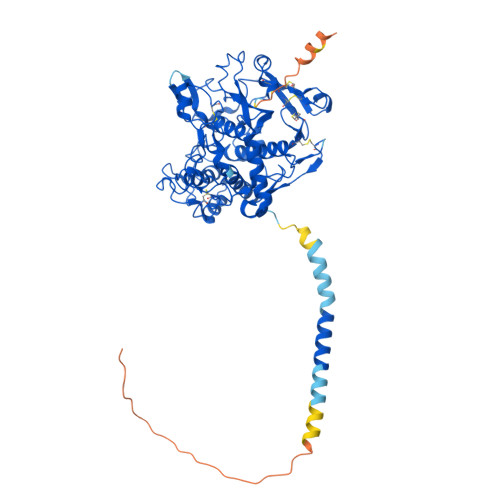 RCSB PDB - AF_AFP11344F1: Computed structure model of Tyrosinase