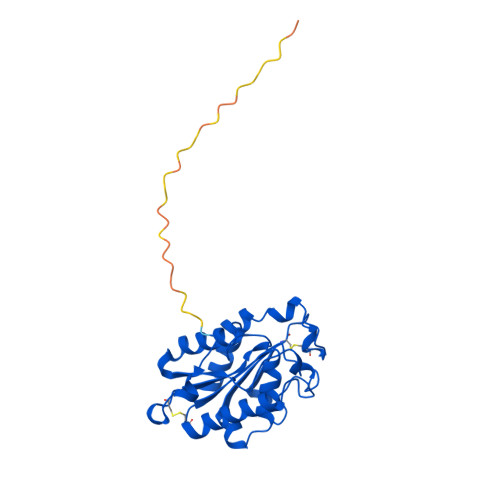 RCSB PDB - AF_AFP11373F1: Computed structure model of Cutinase 1