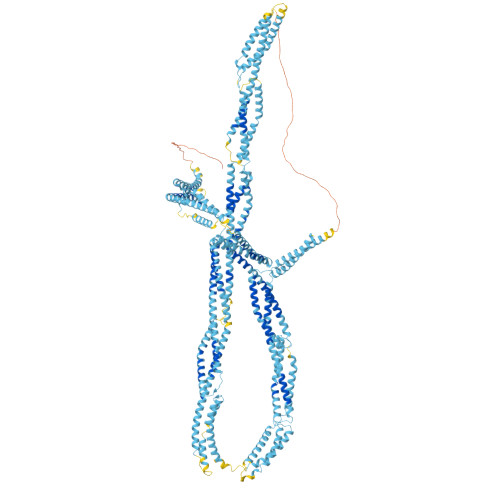 RCSB PDB - AF_AFP11532F4: Computed structure model of Dystrophin