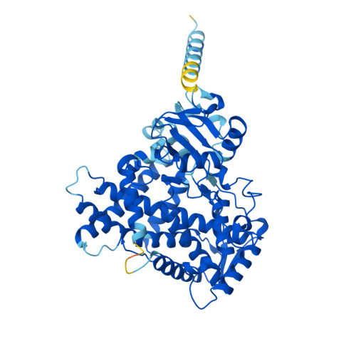 RCSB PDB - AF_AFP11712F1: Computed structure model of Cytochrome P450 2C9