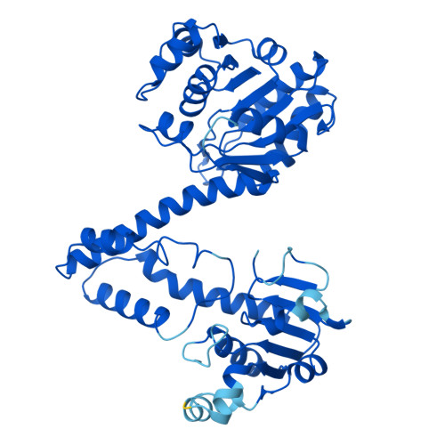 RCSB PDB - AF_AFP11759F1: Computed structure model of GDP-mannose 6 ...
