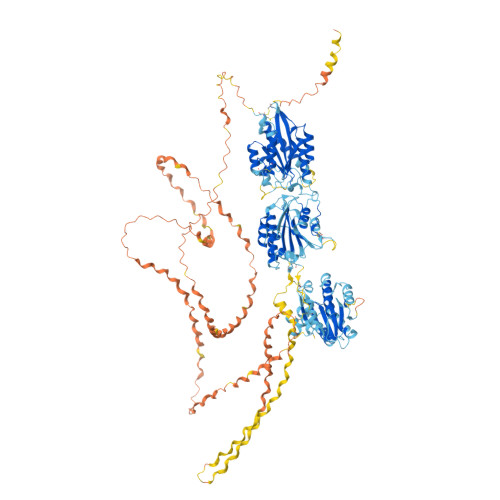RCSB PDB - AF_AFP12109F1: Computed structure model of Collagen alpha-1 ...