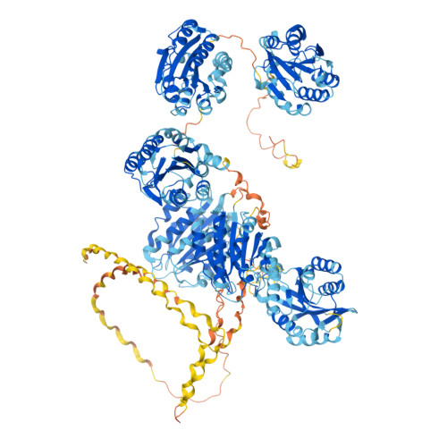 RCSB PDB - AF_AFP12111F5: Computed structure model of Collagen alpha-3 ...