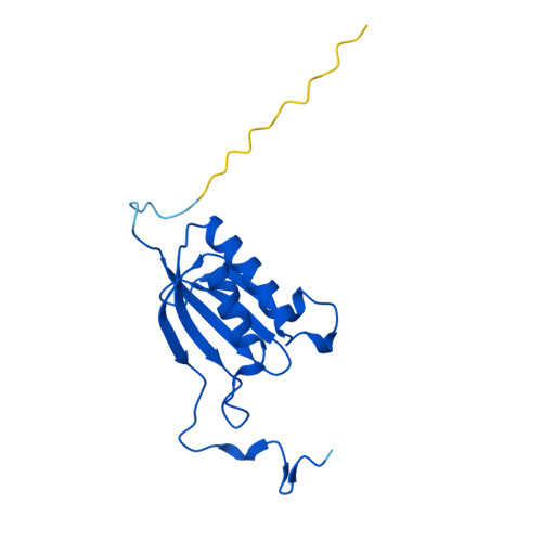 RCSB PDB - AF_AFP13471F1: Computed structure model of 40S ribosomal ...