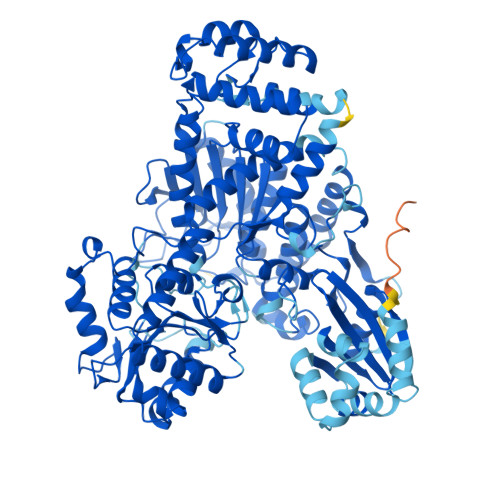 RCSB PDB - AF_AFP13708F1: Computed structure model of Sucrose synthase