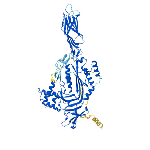 RCSB PDB - AF_AFP14222F1: Computed structure model of Perforin-1