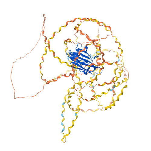 RCSB PDB - AF_AFP14282F1: Computed structure model of Collagen alpha-1 ...