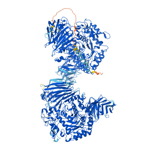 RCSB PDB - AF_AFP14410F1: Computed structure model of Sucrase ...