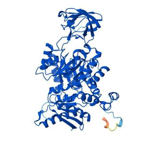 RCSB PDB - AF_AFP14618F1: Computed structure model of Pyruvate kinase PKM