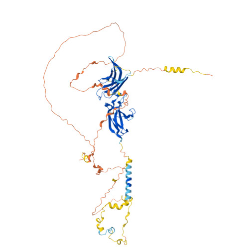 RCSB PDB - AF_AFP14784F1: Computed structure model of Interleukin-2 ...