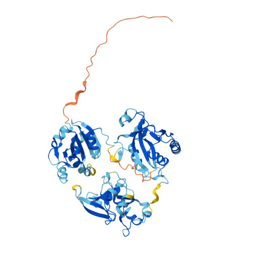 RCSB PDB - AF_AFP14930F1: Computed structure model of Peptide ...