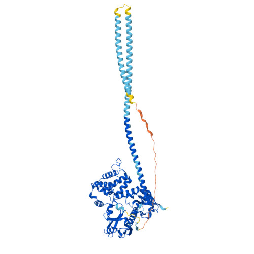 RCSB PDB - AF_AFP15311F1: Computed structure model of Ezrin