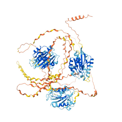 RCSB PDB - AF_AFP15988F1: Computed structure model of Collagen alpha-2 ...