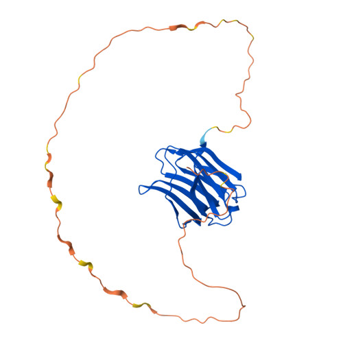 RCSB PDB - AF_AFP16110F1: Computed structure model of Galectin-3
