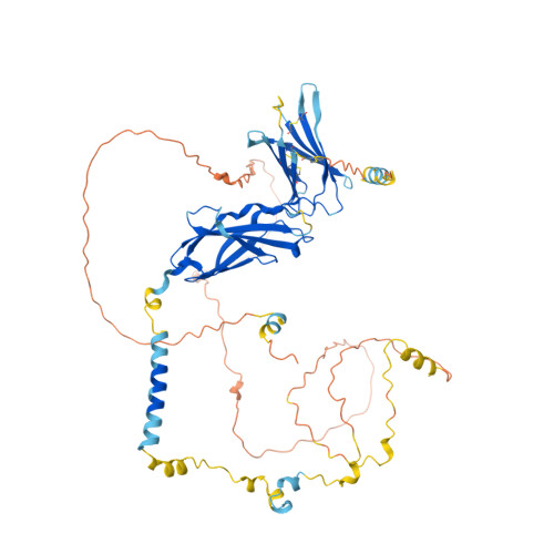 RCSB PDB - AF_AFP16297F1: Computed structure model of Interleukin-2 ...