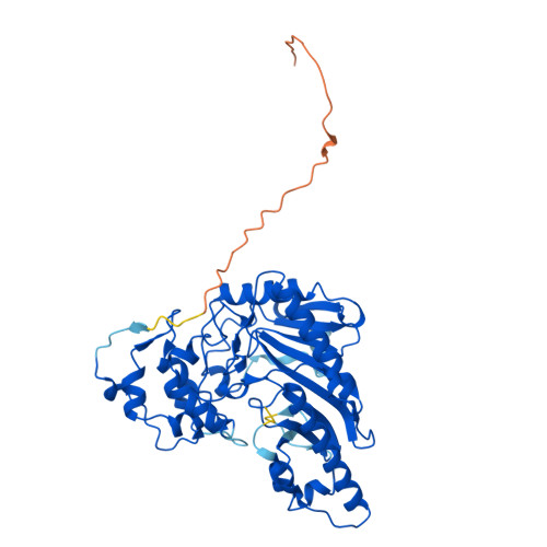 RCSB PDB - AF_AFP17540F1: Computed structure model of Creatine kinase S ...