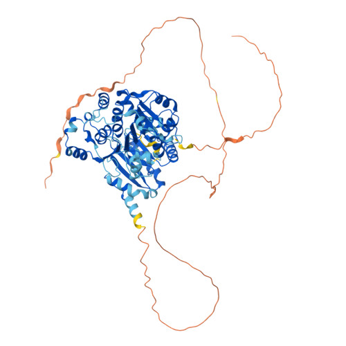 RCSB PDB - AF_AFP17844F1: Computed structure model of Probable ATP ...