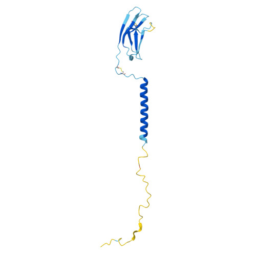 RCSB PDB - AF_AFP18439F1: Computed structure model of T-cell surface ...