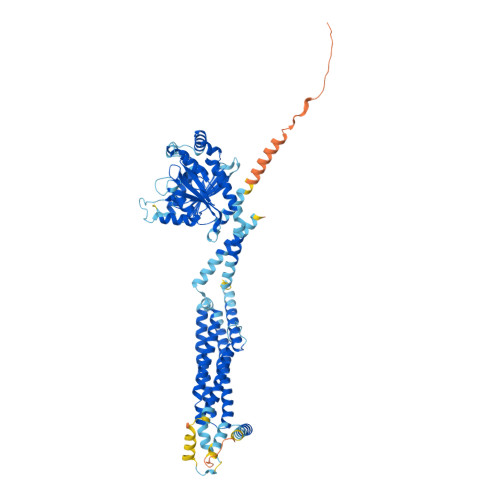 RCSB PDB - AF_AFP18588F1: Computed structure model of Interferon ...