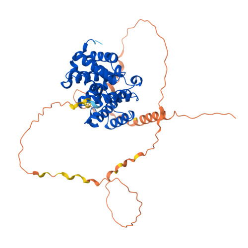 RCSB PDB - AF_AFP20248F1: Computed structure model of Cyclin-A2