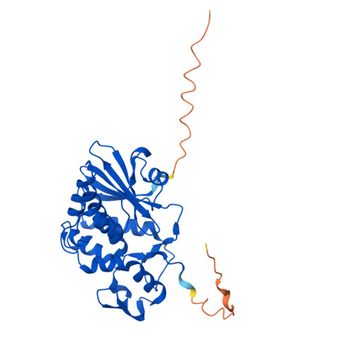 RCSB PDB - AF_AFP20656F1: Computed structure model of Ribosome ...