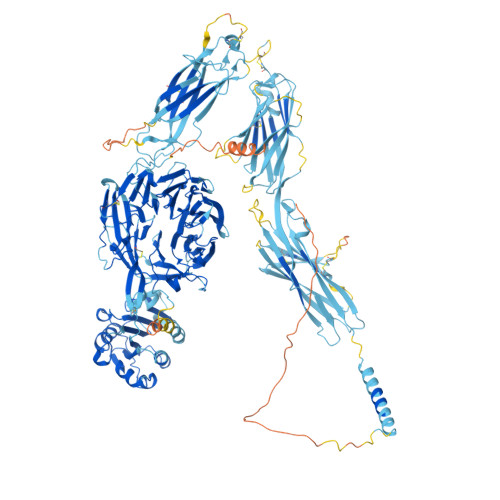 RCSB PDB - AF_AFP20701F1: Computed structure model of Integrin alpha-L