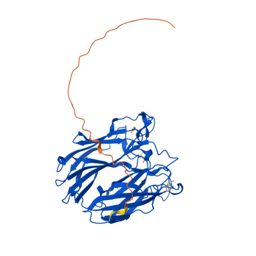 RCSB PDB - AF_AFP21163F1: Computed structure model of Peptide-N(4)-(N ...