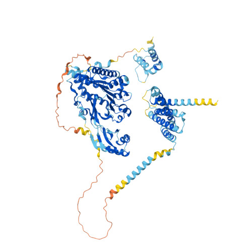 RCSB PDB - AF_AFP21458F1: Computed structure model of DNA translocase ...