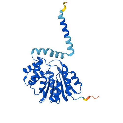 RCSB PDB - AF_AFP21964F1: Computed structure model of Catechol O ...