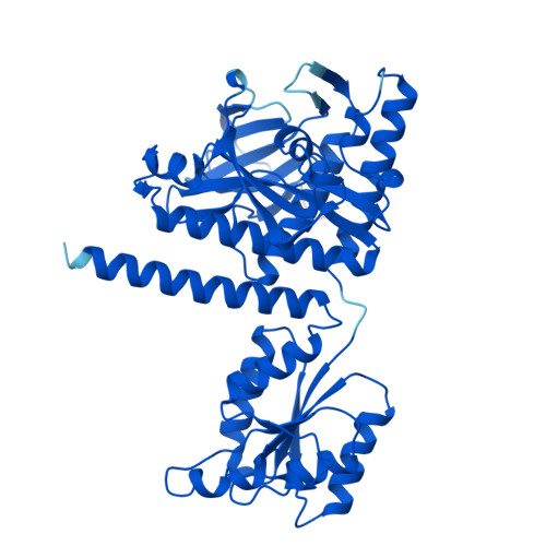 RCSB PDB - AF_AFP22234F1: Computed structure model of Multifunctional ...