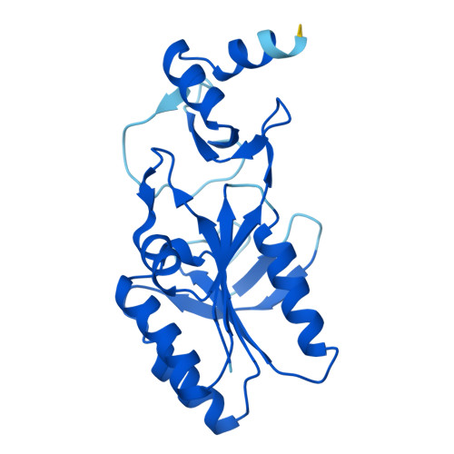 RCSB PDB - AF_AFP23331F1: Computed structure model of Thymidine kinase