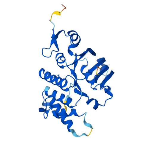 RCSB PDB - AF_AFP23878F1: Computed structure model of Ferric ...