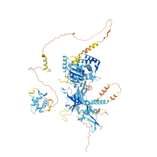 RCSB PDB - AF_AFP24279F1: Computed structure model of DNA replication ...