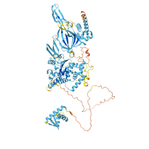 RCSB PDB - AF_AFP25205F1: Computed structure model of DNA replication ...