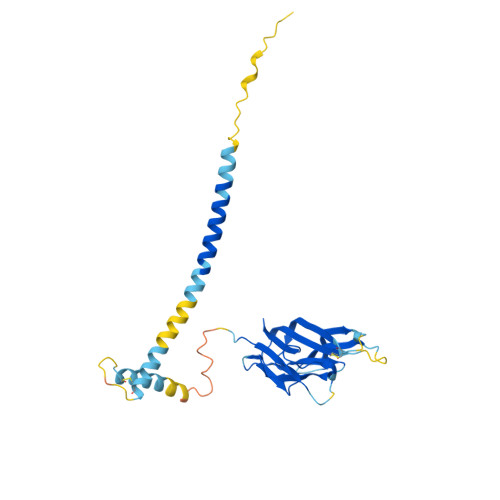 RCSB PDB - AF_AFP27548F1: Computed structure model of CD40 ligand