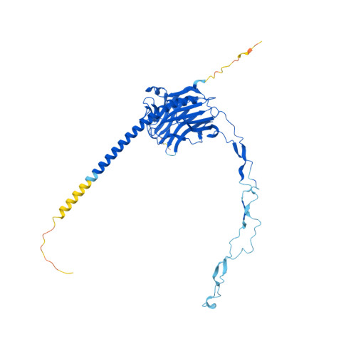RCSB PDB - AF_AFP27797F1: Computed structure model of Calreticulin