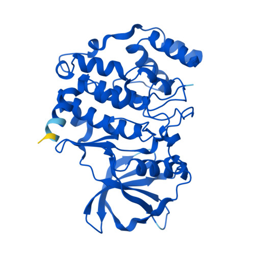 RCSB PDB - AF_AFP28523F1: Computed structure model of Casein kinase II ...