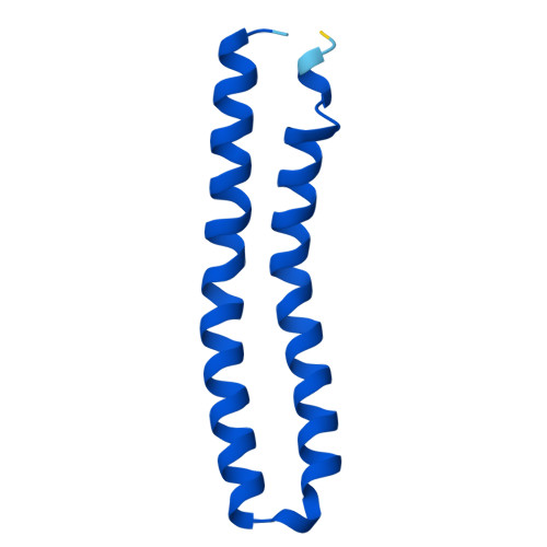 RCSB PDB - AF_AFP28530F1: Computed structure model of ATP synthase ...