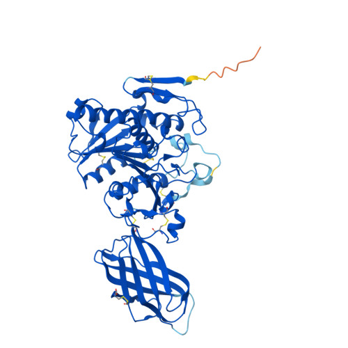 RCSB PDB - AF_AFP29183F1: Computed structure model of Pancreatic ...