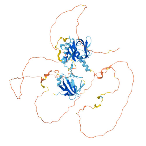 RCSB PDB - AF_AFP29353F1: Computed structure model of SHC-transforming ...
