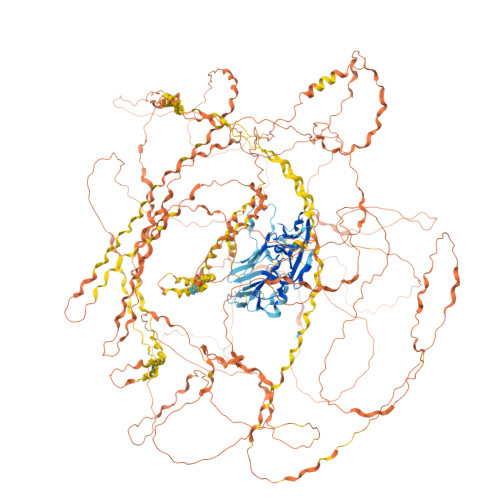 RCSB PDB - AF_AFP29400F1: Computed structure model of Collagen alpha-5 ...