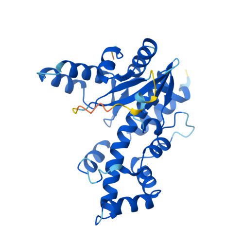 RCSB PDB - AF_AFP29748F1: Computed structure model of Type-2 ...