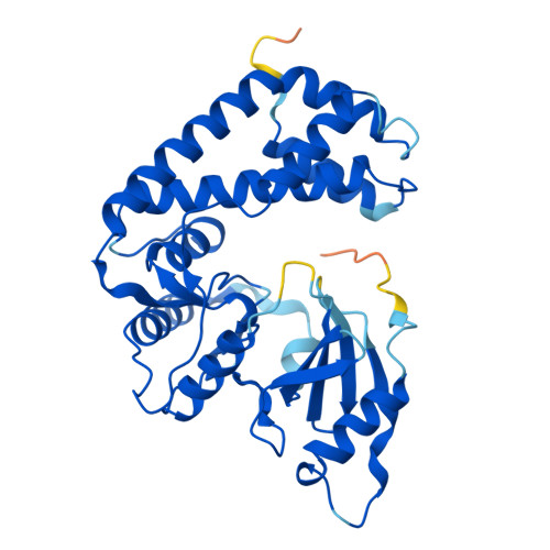 RCSB PDB - AF_AFP29784F1: Computed structure model of Protein StrN