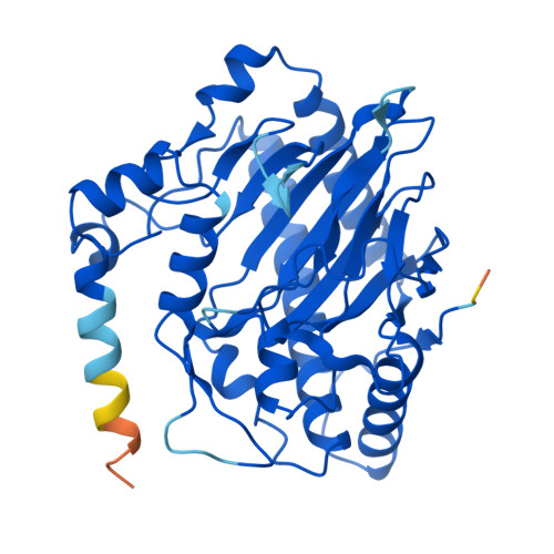 RCSB PDB - AF_AFP32021F1: Computed structure model of 2-oxoglutarate ...