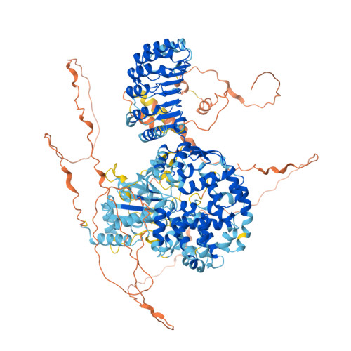 RCSB PDB - AF_AFP33076F1: Computed structure model of MHC class II ...