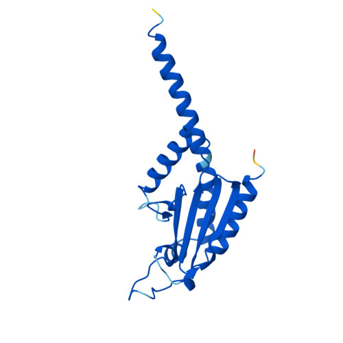RCSB PDB - AF_AFP33204F1: Computed structure model of Actin-related ...