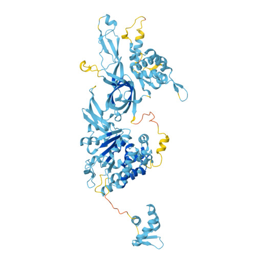 RCSB PDB - AF_AFP33993F1: Computed structure model of DNA replication ...