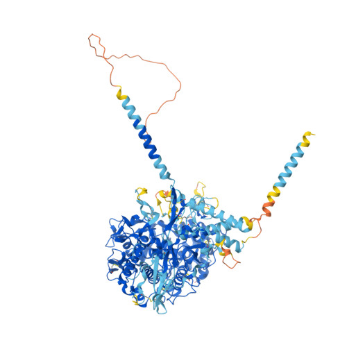 RCSB PDB - AF_AFP35419F1: Computed structure model of Thyroid peroxidase