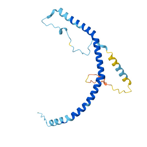 RCSB PDB - AF_AFP35431F1: Computed structure model of Caveolin-1